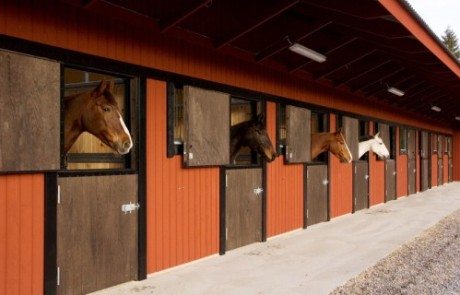 Runsten Equestrian – Modern & generös ridsportsanläggning söder om ...