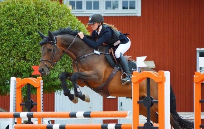 Runsten Equestrian – Runsten Equestrian