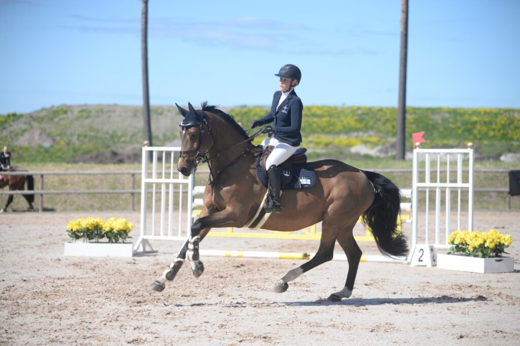 Ditt evenemang – Runsten Equestrian