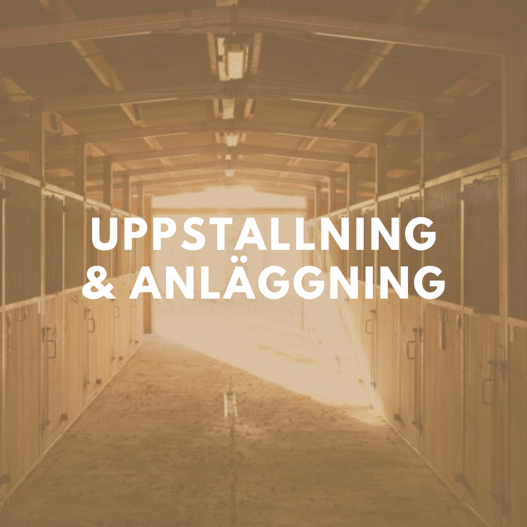 Shop – Runsten Equestrian